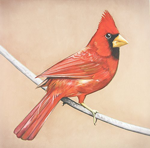 Alexisonfire "Old Crows / Young Cardinals" – LOUD PIZZA RECORDS