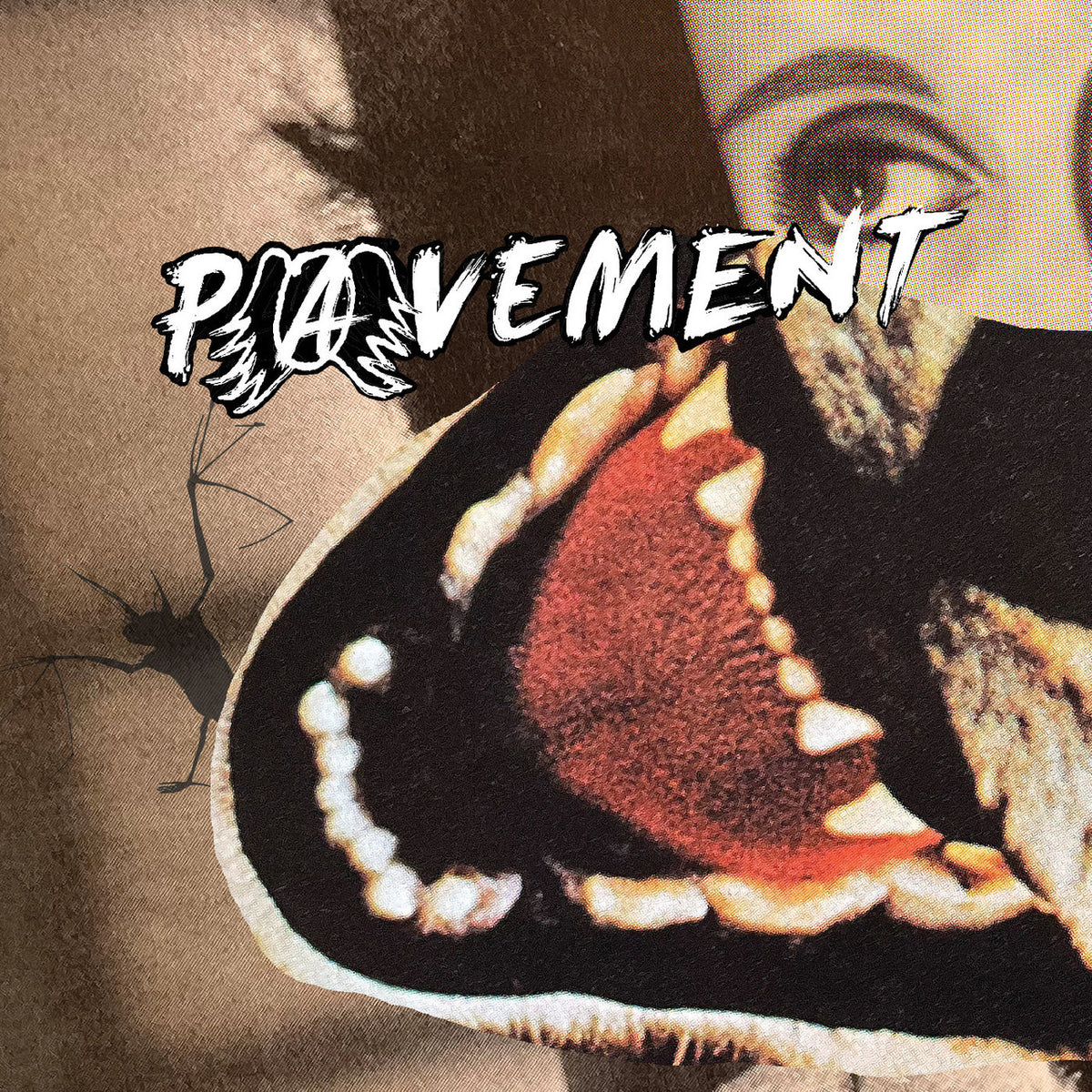 Pavement "Hecklers Choice: Big Gums and Heavy Lifters: A Pavement Coll ...